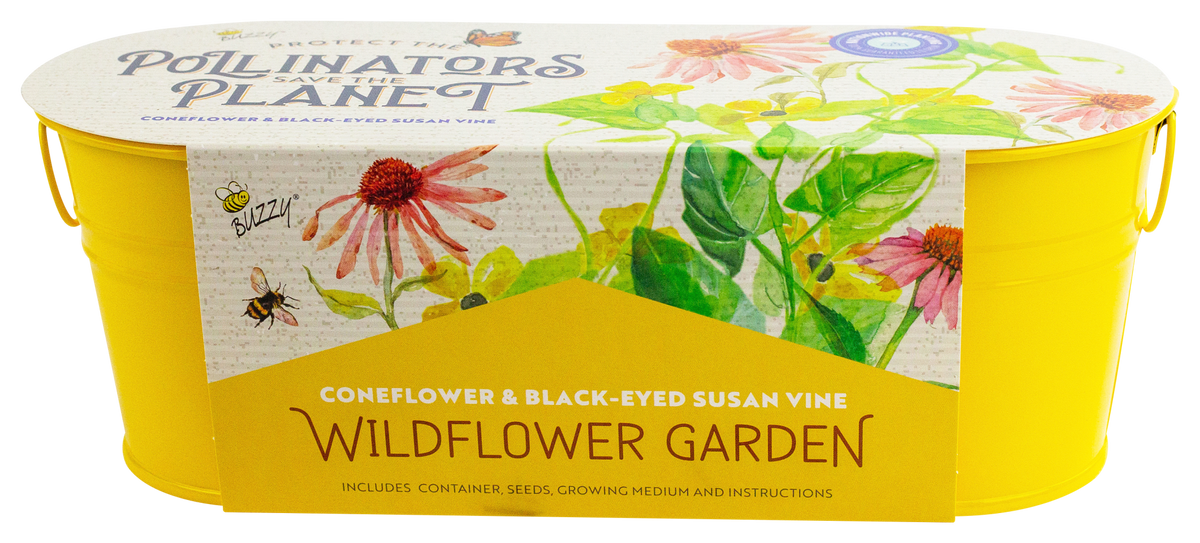 Buzzy Pollinator Wildflower Garden Windowsill Grow Kit – Modern Natural ...